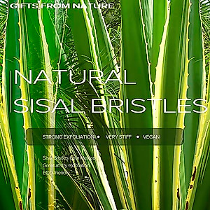 ICANdOIT Stiff Sisal Bristles 2 in 1 Long Handle Bath&Shower Brush,Bath Scrubber with Pumice Stone,Exfoliate&Soften Skin,Dry Brushing Body Brush for Cellulite&Lymphatic Drainage,Reduce ingrown Hairs