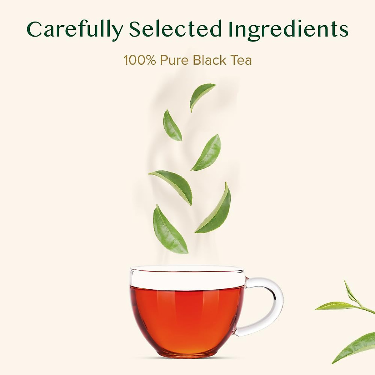 VAHDAM, Darjeeling Tea Leaves From Himalayas 170+ Cups (340g/12oz) Pure Unblended Darjeeling Black Tea, FTGFOP1 Grade Loose Leaf Tea | Packed & Shipped Direct From Source In India