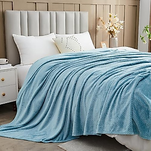NEWCOSPLAY Super Soft Throw Blanket Light Blue Premium Silky Flannel Fleece Leaves Pattern Lightweight Bed Blanket All Season Use (Light Blue, Throw(40"x50"))