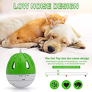 WINGPET Automatic Cat Toy Interactive Toys, Cat Feather Toys, Funny Swing Ball with Feather, Cat Exercise Toy with Sound, Pet Toys Ball with Detachable Rocker and 1 Light Ball (Green)