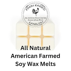 Halloween Fall Wax Melts 16 Ounces Made in America. Halloween Wax Warmer Melts - Farm Raised Candles - 5 Pack - 30 Cubes - Candy Corn, Trick or Treat Haunted Mansion Wax Melts