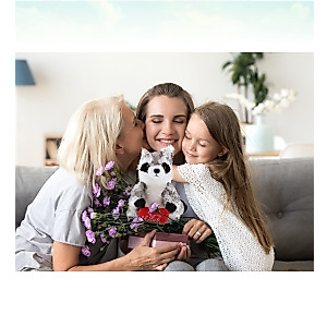 DolliBu I Love You Valentine Plush Raccoon - Cute Stuffed Animal with Red Heart and Name Personalization Gift for Valentines Day, Birthday, Anniversary, Romantic Date - 9 Inches