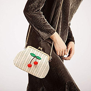 Buddy Supplies Women Straw Weave Handbag Summer Beach Purse Kiss Lock Shoulder Bag Chain Crossbody Bag beige