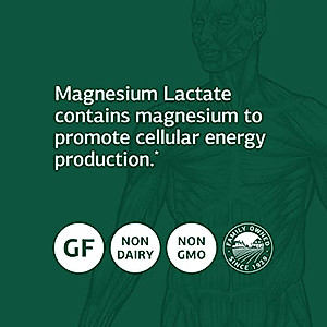 Standard Process Magnesium Lactate - Whole Food Energy, Bone, and Muscle with Magnesium Lactate - Gluten Free - 90 Capsules