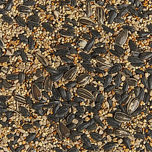 Kaytee Western Wild Bird Food Seed For Cardinals, Finches, Chickadees, Woodpeckers, Buntings and More, 7 Pounds
