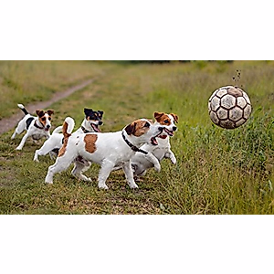 PET SUPPLEMENTS Dog Vitamins for Hip and Joint and Coat - Dogs Ultra Vitamins - CHEWABLE - Advanced Formula - Premium Minerals - Dog Vitamin e Supplement - 1 Bottle (90 Chews)