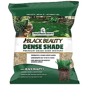 Jonathan Green (10600) Black Beauty Dense Shade Grass Seed - Cool Season Lawn Seed (3 lb)