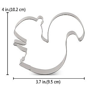 LILIAO Squirrel and Acorn Cookie Cutters for Thanksgiving - Stainless Steel