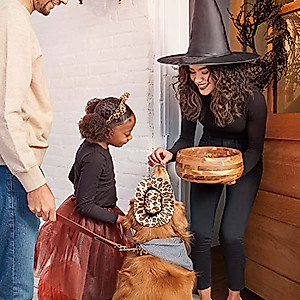 Milk-Bone Limited Edition Halloween Spooky Biscuit Dog Treats, 24 Ounce Pail