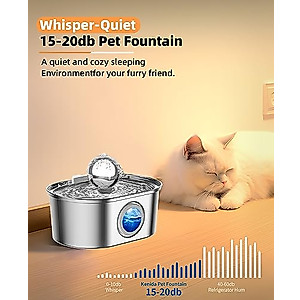 Cat Water Fountain Stainless Steel, 3.2L/108oz Super Quiet Cat Fountains for Drinking Cat Fountain Water Bowl with Water Level Window and LED Light Automatic Pet Water Fountain for Cats Dogs