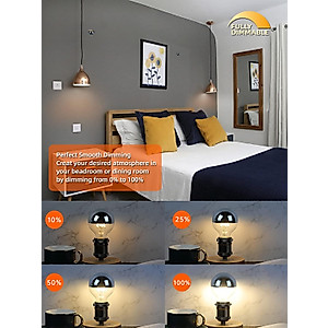 XININSUN Dimmable Half Chrome Light Bulb,6W (60W Eqv.), Anti Glare LED Light Bulbs,G25 Globe Light Bulbs,E26 G80 Silver Dipped Bulb for Bathroom, Vanity, Mirror,2700K Warm White,4Pcs