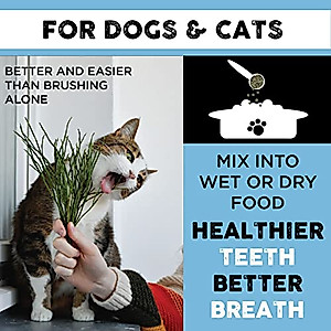 Nature's Diet Nature's Toothbrush Icelandic Seaweed Whole Flakes Oral Health Breath and Build-up Control Daily Meal Topper for Dogs & Cats