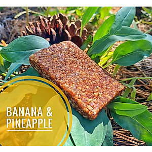 The Every Bar - Banana Pineapple