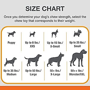 Nylabone Flexi Chew X-Bone Senior Dog Chew Toy Turket & Sweet Potato Small/Regular (1 Count)