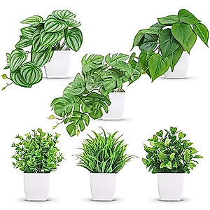 Der Rose 6 Packs Fake Plants Small Artificial Plants for Home Office Desk Bathroom Aesthetic Farmhouse Room Decor Indoor