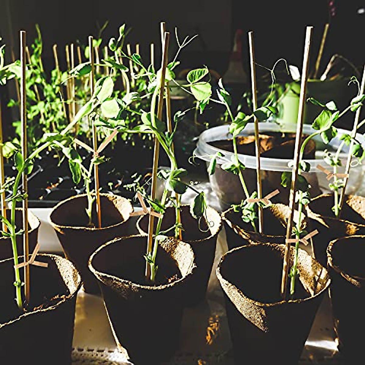 1000 Pcs 6" Twist Ties, Kraft Paper Twist Ties Plant Ties Cable Ties Reusable Bread Ties for Party Cello Candy Coffee Treat Bags Cake Pops (6")