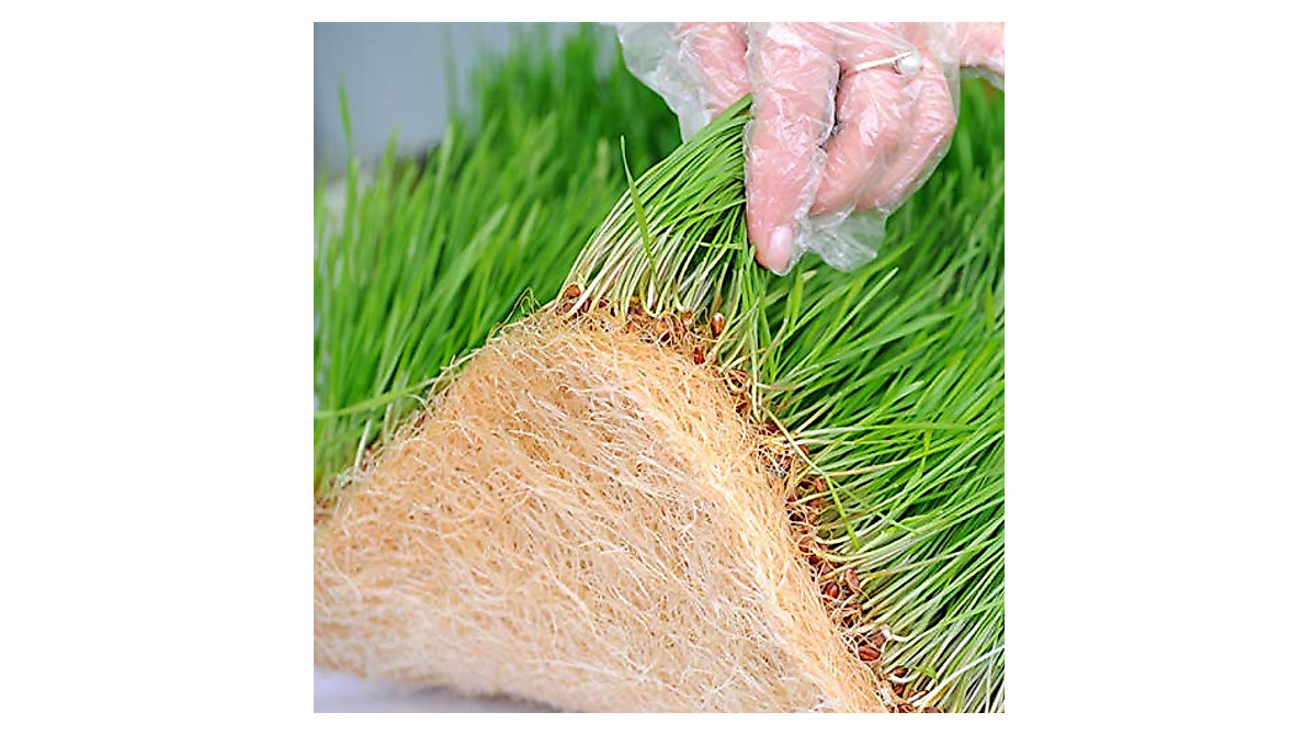 Halatool Hydroponic Grow Mats for Microgreens – 10 Pack