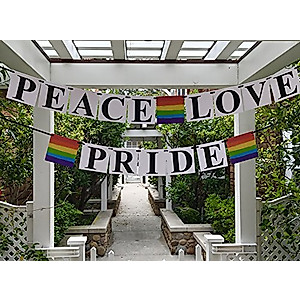 Peace, Love, Pride Banner - Gay Pride Flag Themed, Rainbow Colored - Gay, Lesbian, LGBT Party Decoration