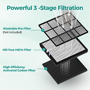 WXFANA 2 Pack Replacement Filters Compatible with LEVOIT Vital 100S Air Purifier, H13 True HEPA Filter Replacement for LEVOIT Vital 100s, for Vital 100S-P, for 100S-RF