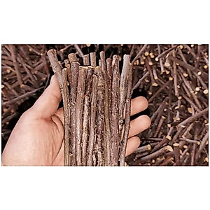 Barn Eleven 100g/0.22lb Natural Apple Sticks, Treats Food for Small Animals, Chew Toys for Chinchilla Guinea Pigs Rabbit Squirrel Hamster Bunny (100g/0.22lb)