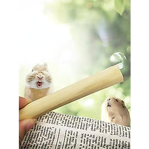 Sweet Bamboo Chew Sticks for Rabbits, Bunny Molar Treats Snack for Small Animals Hamster Chinchilla Guinea Pigs Rabbit Squirrel Natural Teeth Grinding Toys (500g/1.1lb)