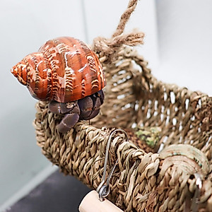 Hermit Crab Hideout with Ladder, Wooden Hermit Crab Climbing Toys, Aquariums Ladder Bridge Ramp Toy, Small Animals Tank or Cage Accessories, Habitat for Hermit Crab Hamsters Rats Birds Parrots