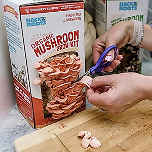 Back to the Roots Organic Mushroom Grow Kit - Oyster and Pink Mushroom 2-Pack Variety - Indoor Non-GMO Growing Kit - Produces 3-4 Servings and Grows in 10 Days