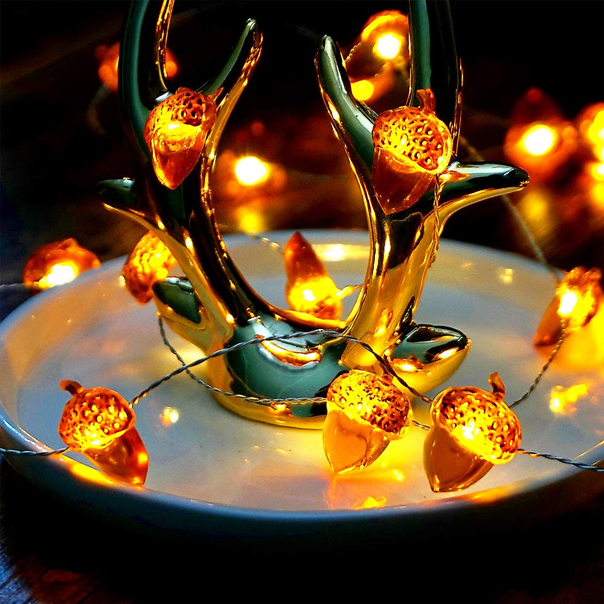 BOHON Thanksgiving Decorations Acorn Lights String 10ft 40 LEDs Fairy String Lights Battery Operated with Remote Fall Lights for Home Autumn Garland Bedroom Christmas Tree Halloween Party Decor