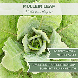 Organic Mullein Leaf 2 oz. (57g), USDA Certified Organic Mullein Leaf Tea, Mullen Leaves, Mullin Leaf, Mullein Smoking Herb, Mullein Organic Tea, Mullien Leaf, Cut & Sifted
