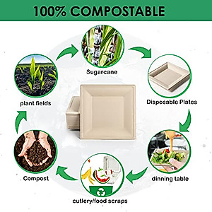 Gezond Compostable Square Plates 6 Inch 50 Pack Disposable Paper Plates Sugarcane Cake Plates for Party Unbleached Eco-friendly Salad Plates