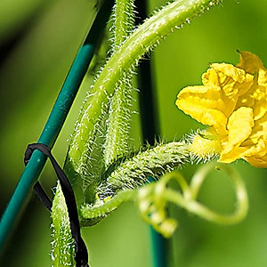 defutay 1000PC Twist Ties Plastic Black Twist Ties Garden Plant Support Cable Cord Ties, Suit For Tie air pipes, Power cords, Plug-in cables, vegetable and fruit baskets (Black)