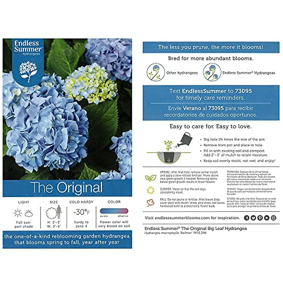 Endless Summer Original Hydrangea, 1 Gal, Blue