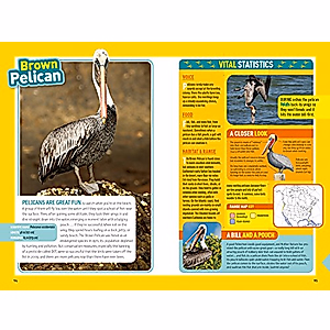 National Geographic Kids Bird Guide of North America, Second Edition