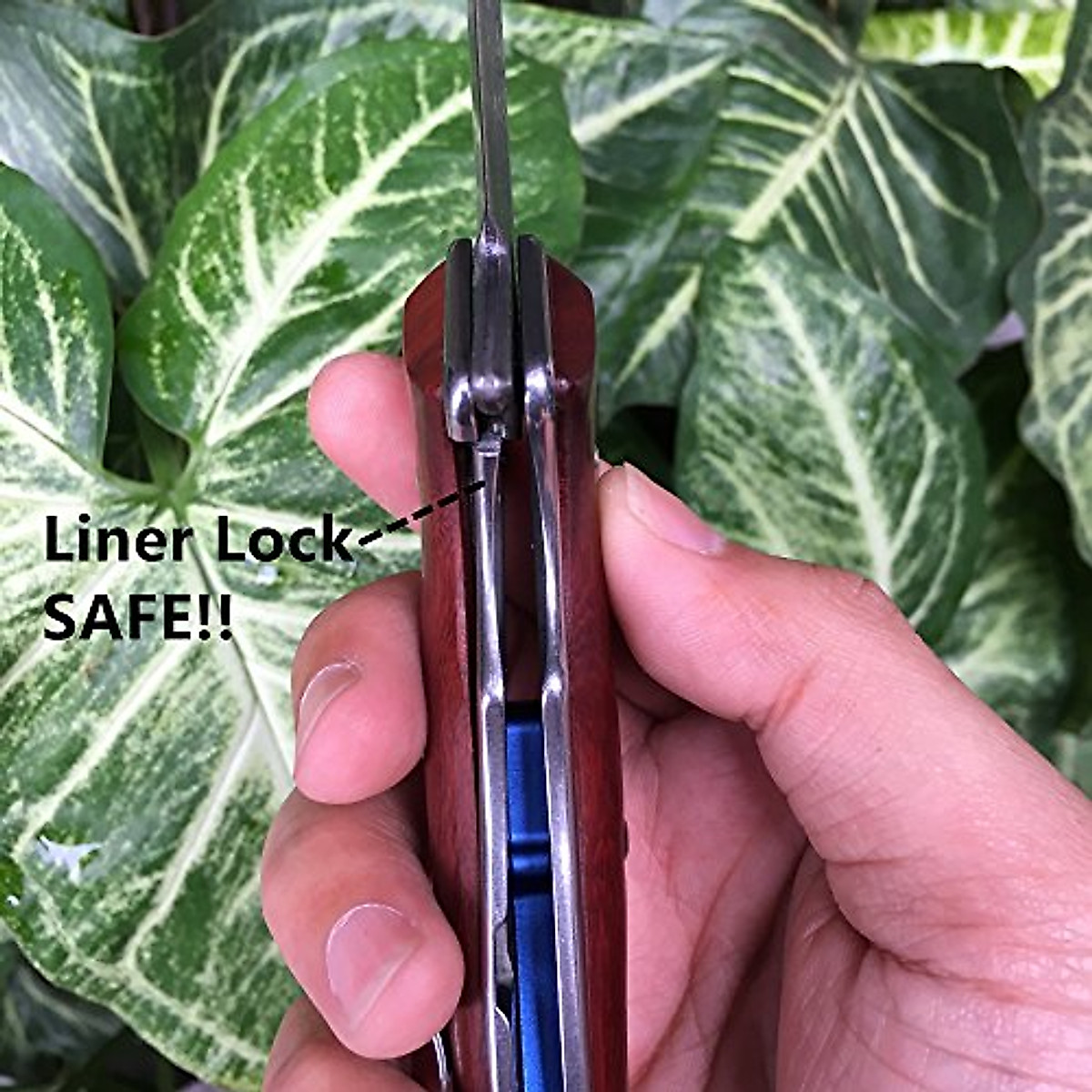 ALBATROSS HGDK001 EDC Classic Damascus Folding Camping Pocket Knives With Liner Lock,Cocobolo Wood Handle,Gifts/Collections