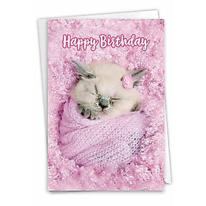 The Best Card Company Birthday Greeting Card with 5 x 7 Inch Envelope (1 Card) Bday Fluffy Furballs C7168ABDG