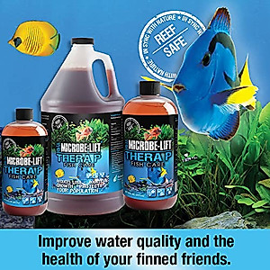 Microbe-Lift THERAPH16 TheraP Fish Care Treatment for Freshwater and Saltwater Home Aquariums and Tanks, 16 Ounces