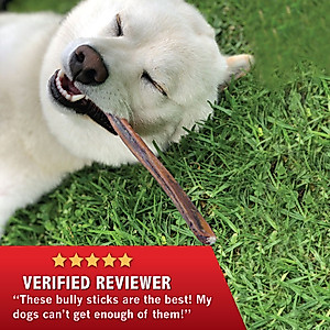 Natural Dog Chew - Powerpet: Bully Sticks - 12” Jumbo Bully Sticks - 7 Ct - Odorless - Helps Improve Dental Hygiene - 100% Natural & Highly Digestible - Helps Keep Your Dog Healthy & Happy