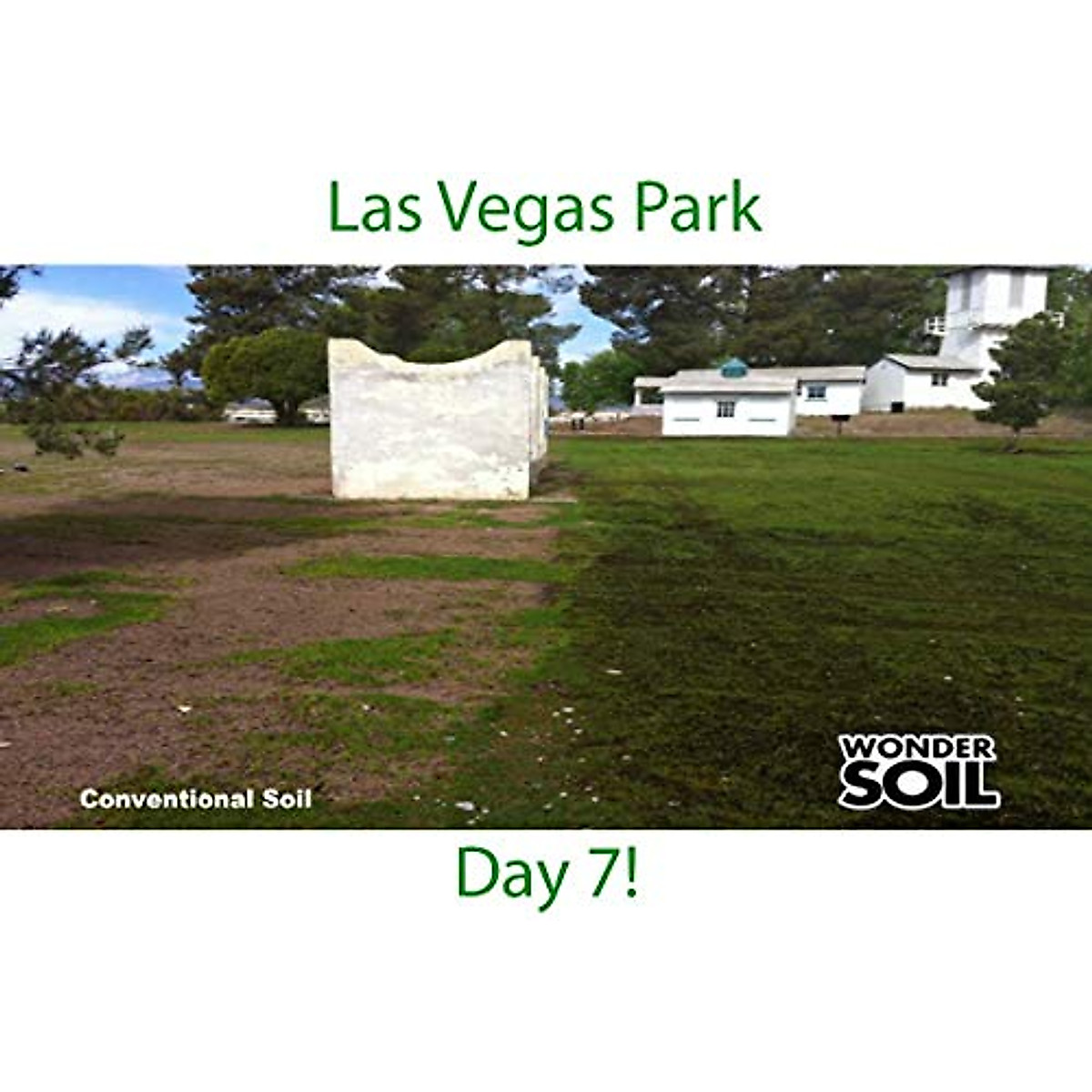 Premium Nutrient Rich Lawn Top Dressing Turf Expanding Coco Coir Mix – 10 LB Covers up to 400 sq. ft. – Grow Thicker Greener Grass in Drought Heat Conditions – Save Water, Seed, & Fertilizer