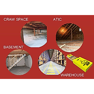 Mouse Trap Alert - No more unpleasant smells in your home because of decaying mouse, you are alerted when the mouse trap is triggered