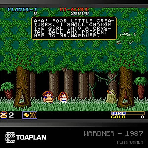 Evercade Toaplan Arcade Cartridge 2