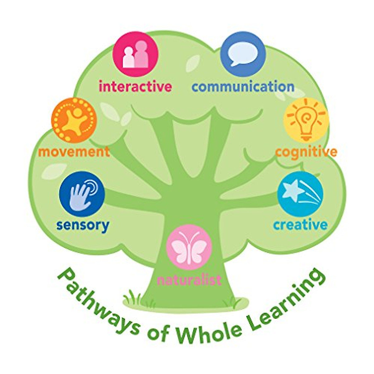 green sprouts Sprout Ware Stacking Cups made from Plants (6 cups) | Encourages whole learning the healthy & natural way | Fun for bath, pool, water, & sand play, Holes for sifting & sprinkling 6 Count (Pack of 1)