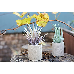 WUKOKU 4 PCS Small Fake Succulents Plants in Ceramic Pots Mini Artificial Potted Succulent Decoration for Desk, Shelves, Office and Home