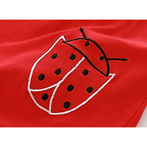 Eghunooy Baby Girls Clothes Set 2 Piece Long Sleeve Ladybug Pattern Infant Outfits (18-24 Months) Red