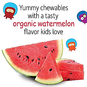 Garden of Life Dr. Formulated Probiotics Organic Kids+ Plus Vitamin C & D - Watermelon - Gluten, Dairy & Soy Free Immune & Digestive Health Supplement, No Added Sugar, 30 Chewables (Shelf Stable)