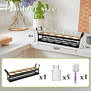 Quuavio Plant Propagation Stations with Metal Stand, Desktop Plant Terrarium with 5 Air Propogation Jars, Flower Glass Vasefor Hydroponic, Home Garden Window Office Decor, Plants Gifts