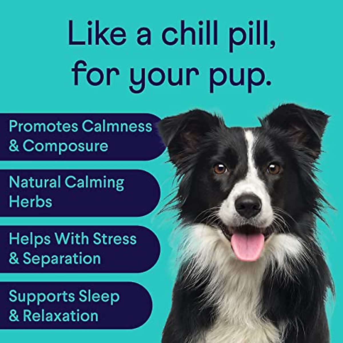 Finn Calming Aid for Dogs - Natural Calming Chews with Melatonin to Help Stress, Separation & Sleep - Vet Recommended & NASC Certified - 90 Chews