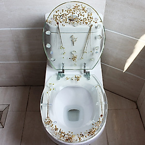 U/V Style Bidet Toilet Seat,Unplugged Intelligent Toilet Lid Spray Fresh Mechanical Nozzle Resin Transparent Design Shell Toilet Seats (CQ-5835)