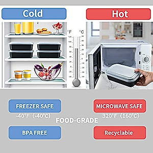 Plastic Meal Prep Containers, 32 oz, 10 PACK, Food Storage Disposable Containers with Lids Airtight, Togo Food Containers for Frozen Meal, Reusable Lunch Bento Box, Microwave and Freezer Safe