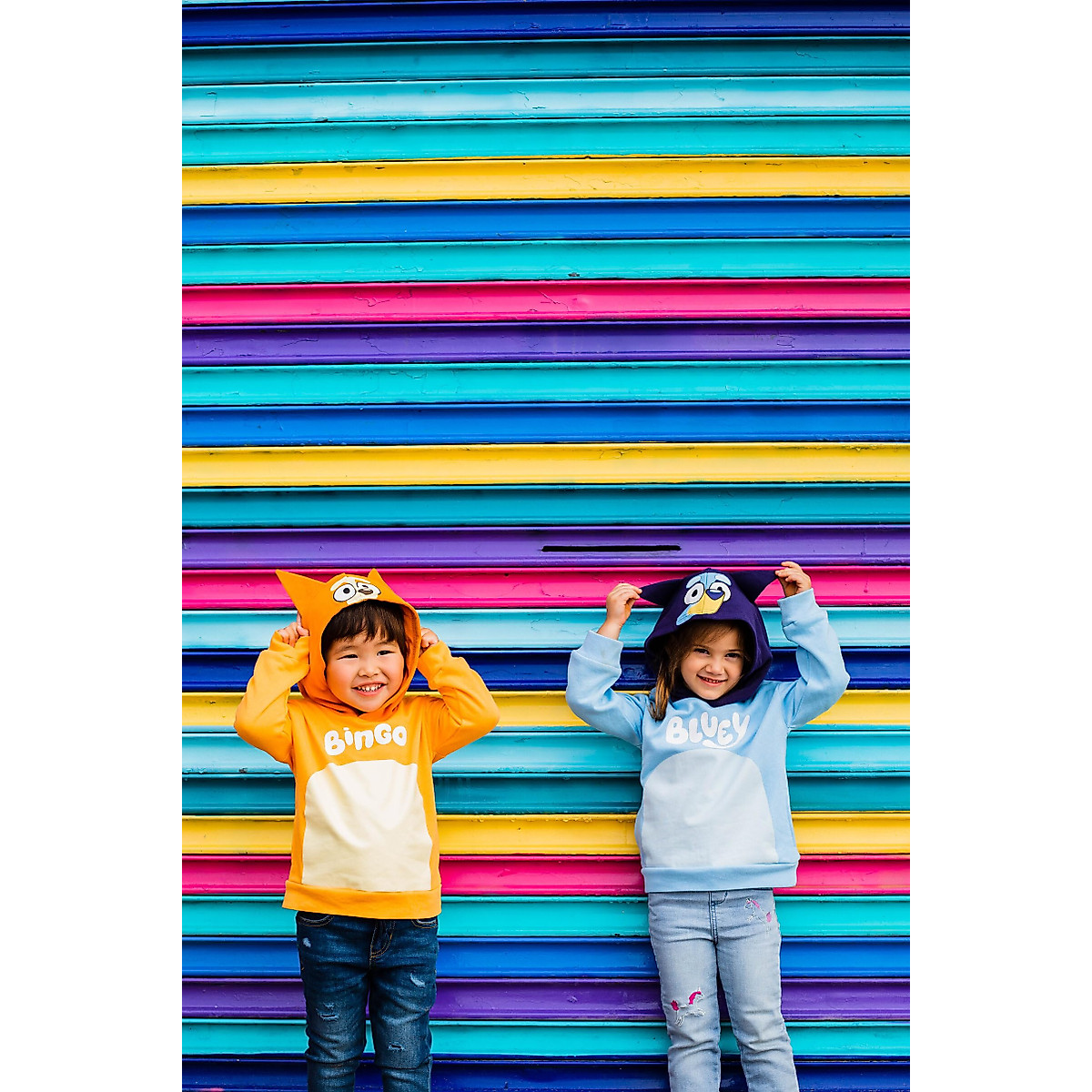 Bluey Bingo Toddler Boys Fleece Matching Family Pullover Hoodie 5T