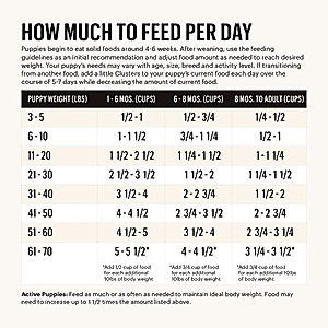 The Honest Kitchen Whole Food Clusters Puppy Grain Free Chicken Dry Dog Food, 20 lb Bag